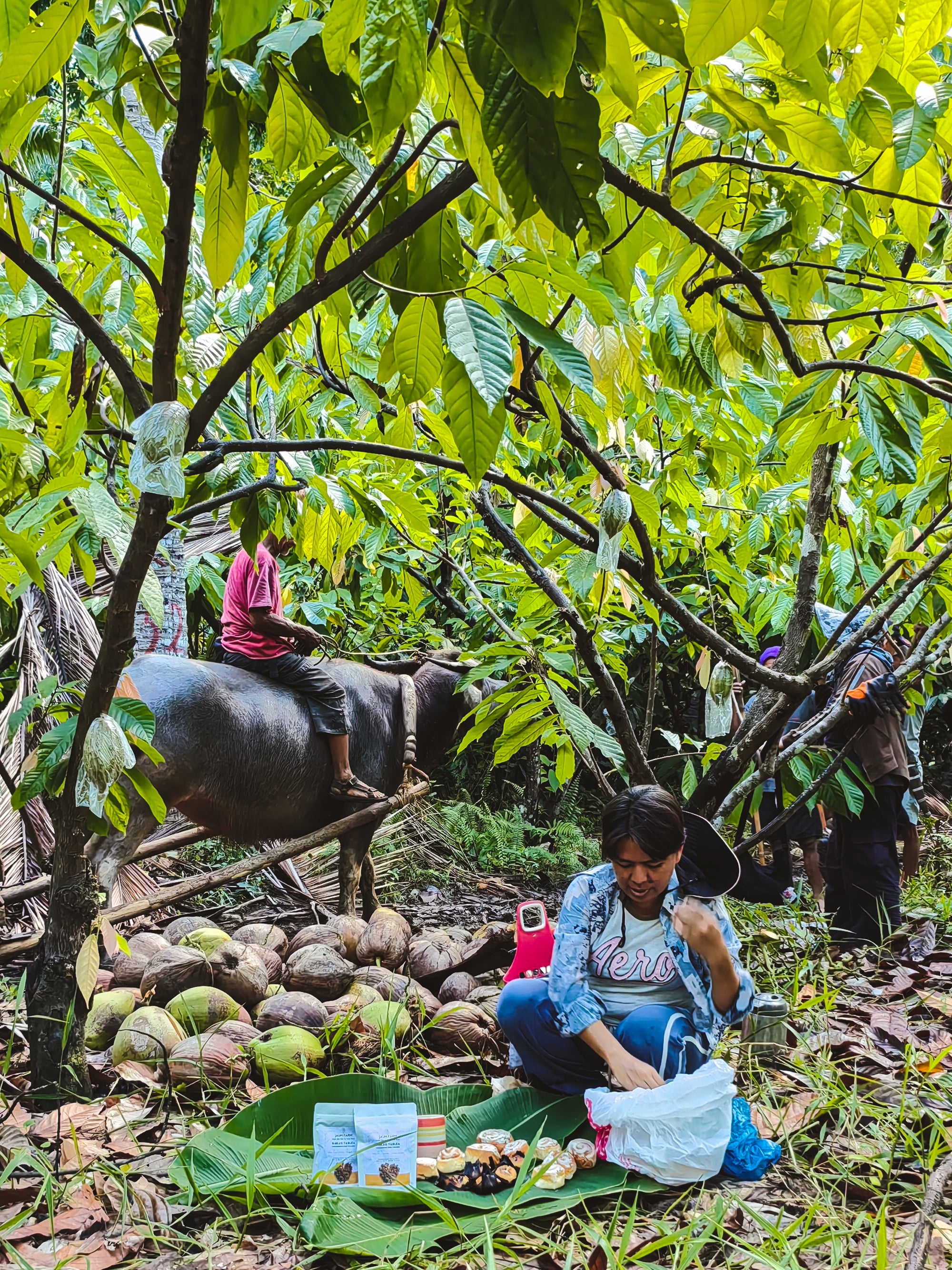 Our Story – Jaum Farm